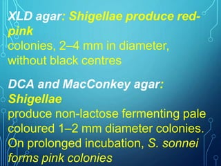 .Shigella Dr. mahadi ppt | PPT