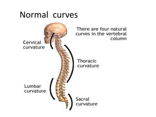 Spinal orthotics and walking aids | PPTX