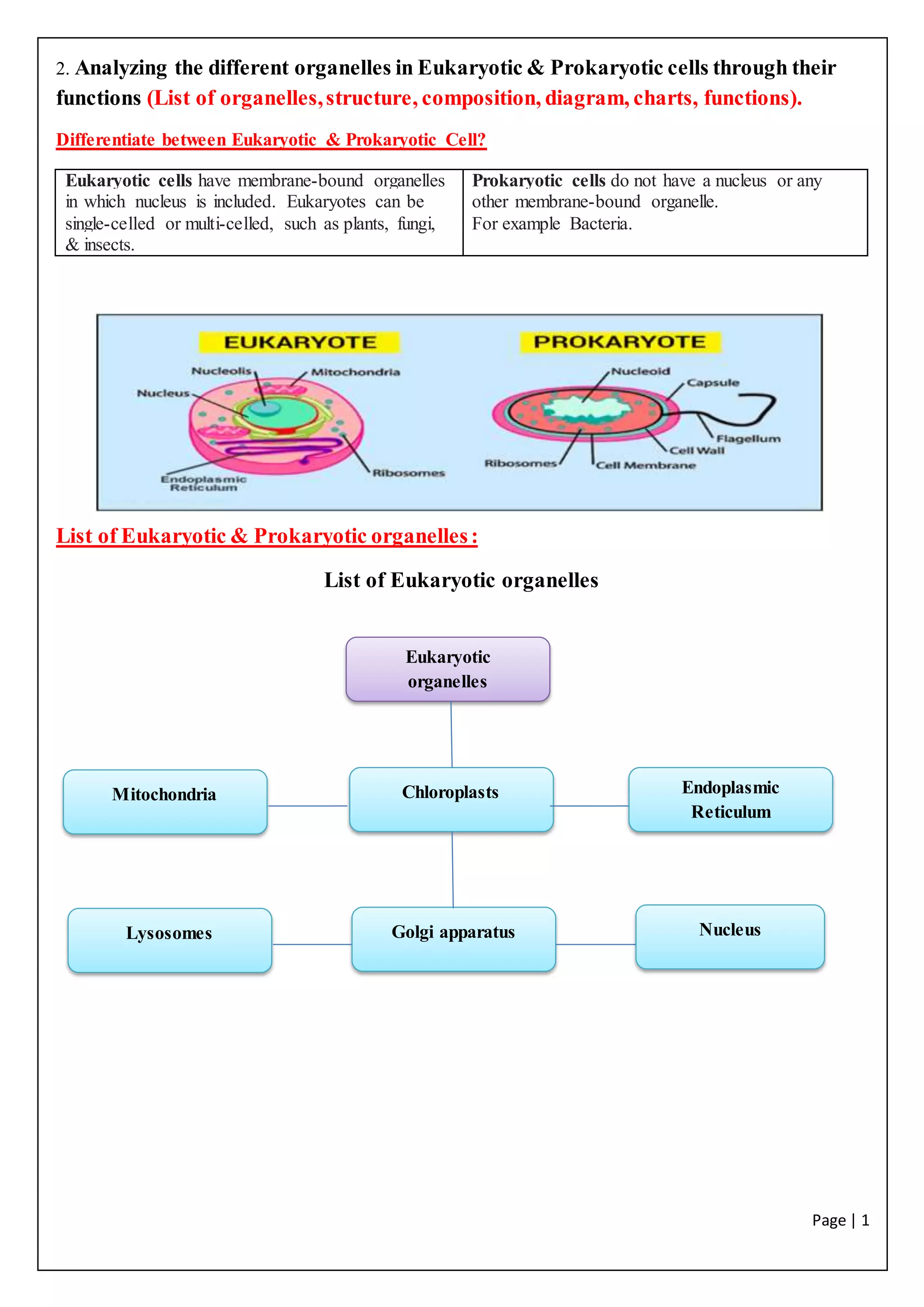 Analyzing the different organelles in eukaryotic & prokaryotic cells ...