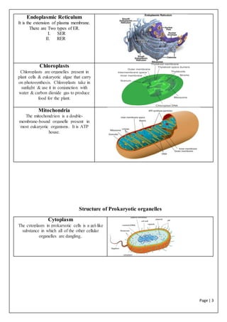 Analyzing the different organelles in eukaryotic & prokaryotic cells ...