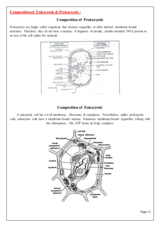 Prokaryotic Cell Worksheet