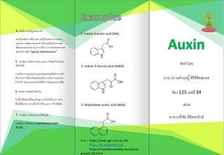 Auxin | PPT