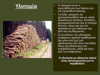 Εξερευνητές στο δάσος | PPTX