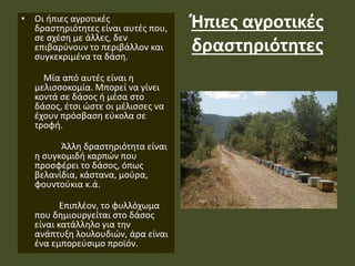 Εξερευνητές στο δάσος | PPT