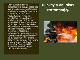 Εξερευνητές στο δάσος | PPTX