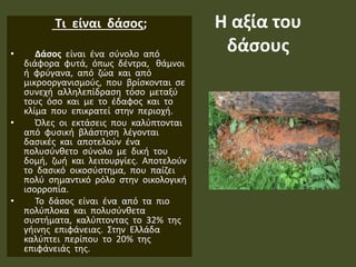 Εξερευνητές στο δάσος | PPTX