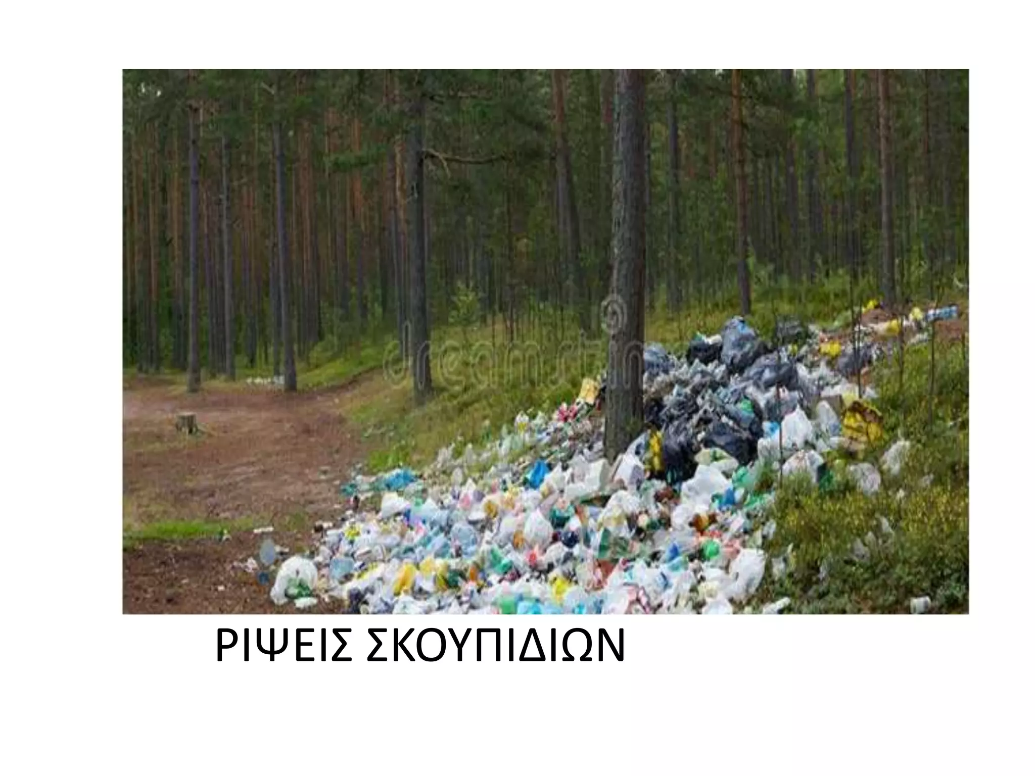 Φύλλο φίλος μας οδηγεί | PPT