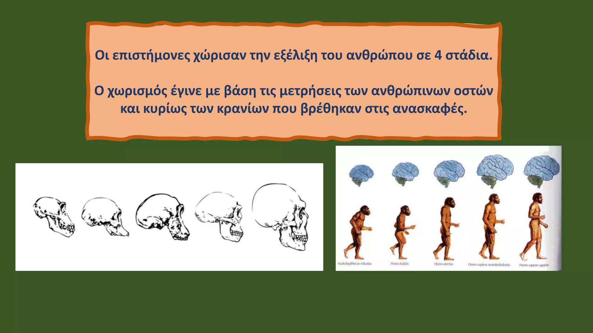 Παλαιολιθική Εποχή | PPT