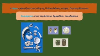 Παλαιολιθική Εποχή | PPT
