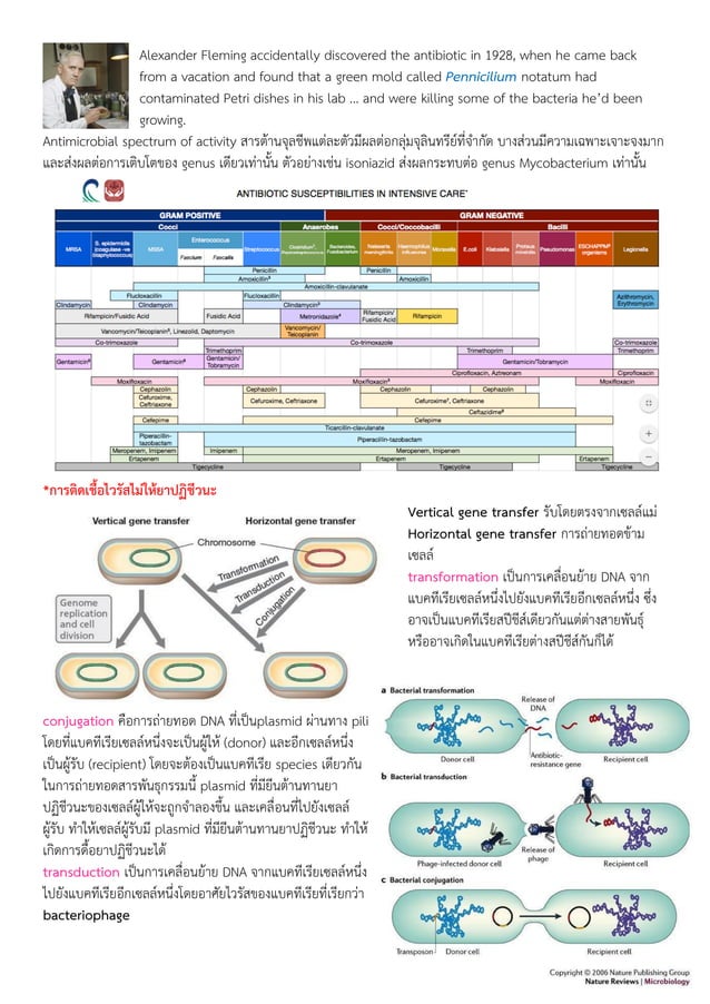 ชีววิทยาของจุลินทรีย์และความรู้เบื้องต้นทางเภสัชจุลชีววิทยา by pitsanu duangkartok | PDF