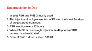 فرط الاباضة في حيوانات المزرعة | PPT