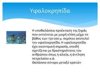Μια βουτιά στον ωκεανό | PPT