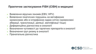 Фітьо А.І. - Основи методу Fish | PPT