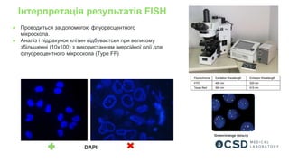 Фітьо А.І. - Основи методу Fish | PPT