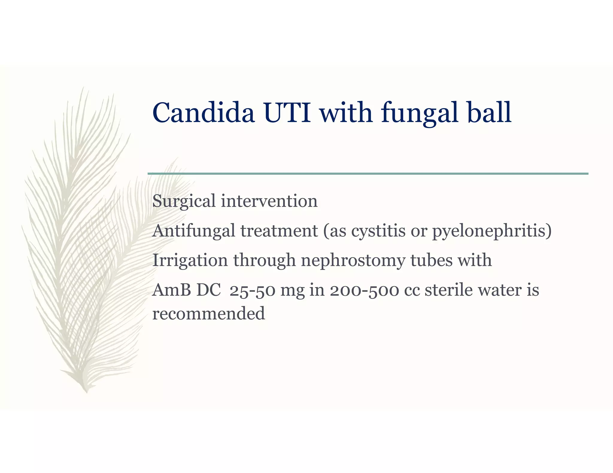 Candiduria | PDF