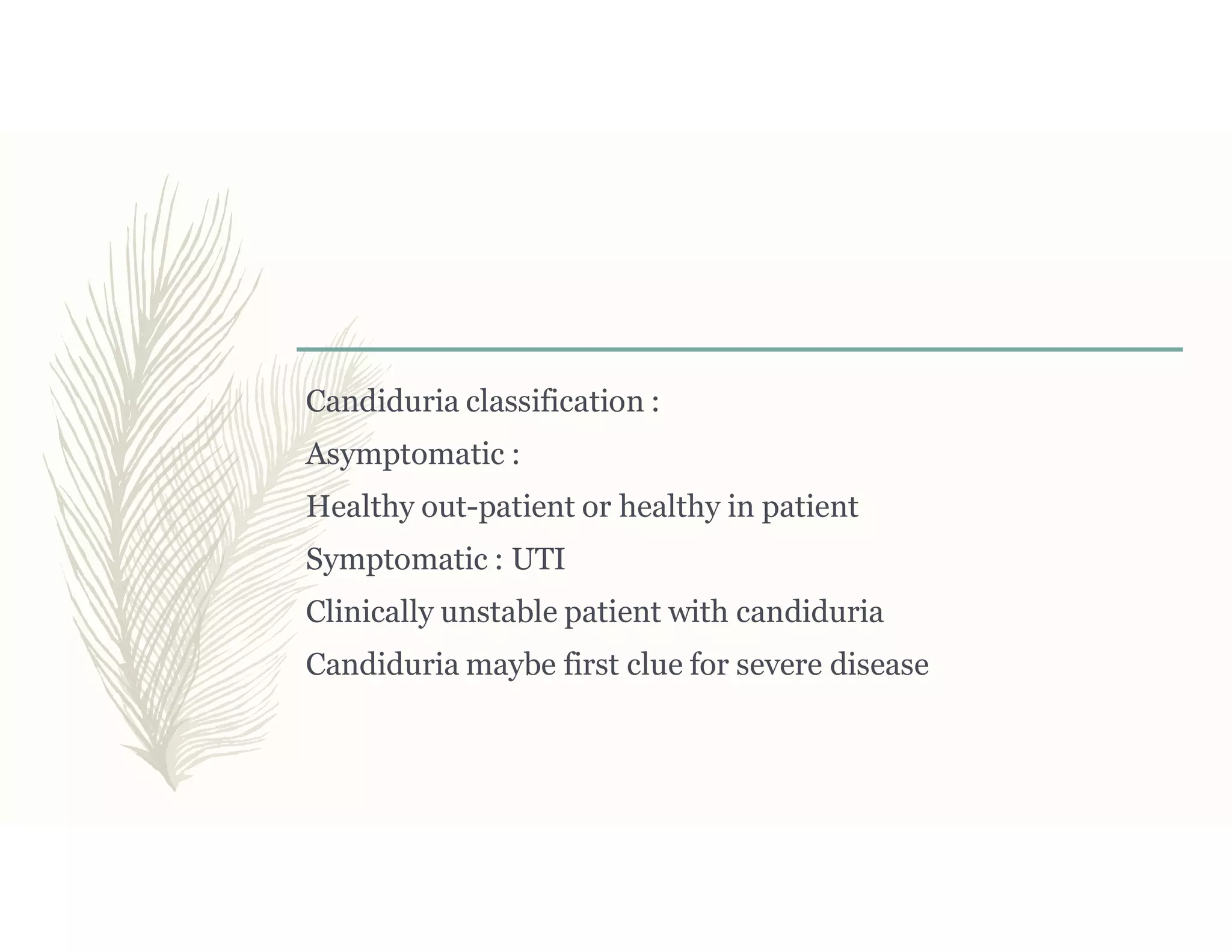 Candiduria | PDF