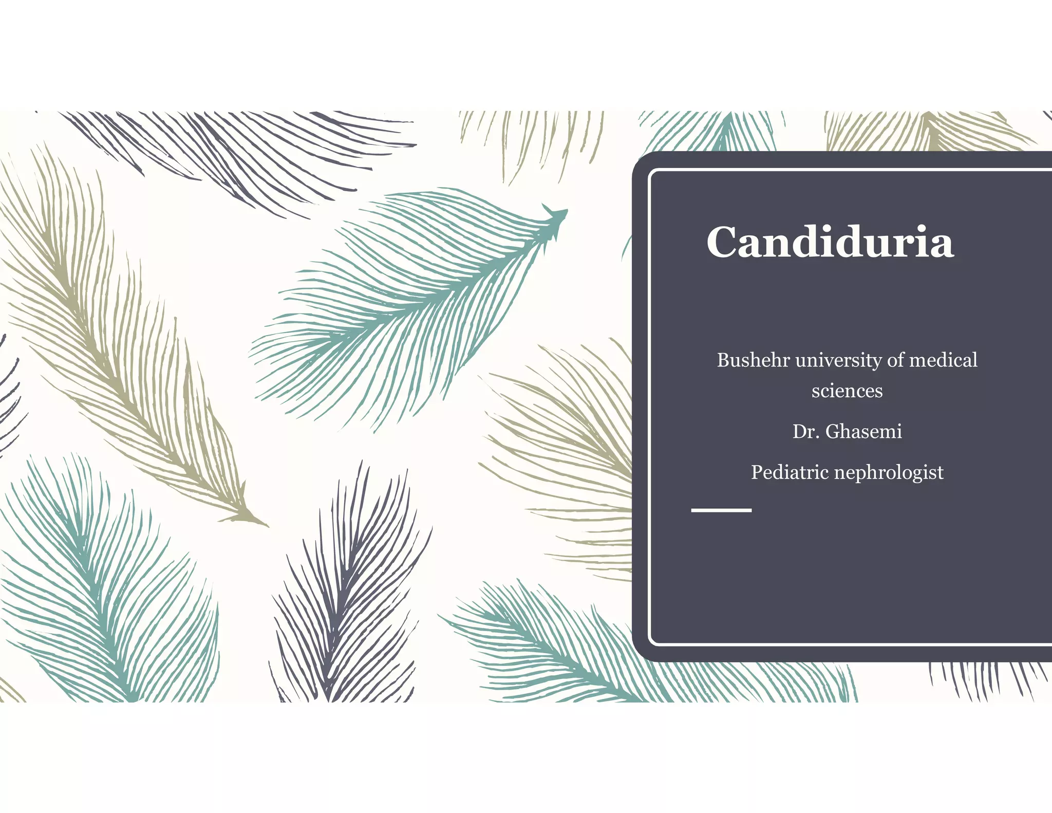 Candiduria | PPT