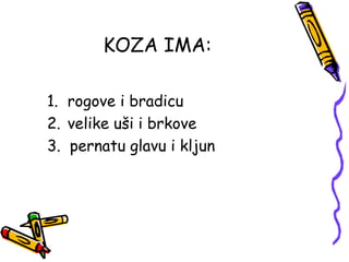 . Mo mali kviz o domacim zivotinjama | PPT