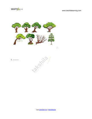 हिंदी गिनती और लिंग - UKG Worksheet | PDF