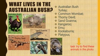 Bush | PPTX | Australia and Oceania Travel | Travel Locations