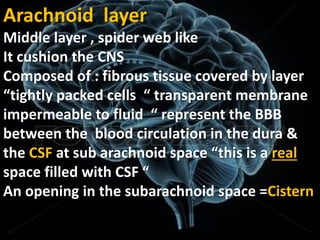 Anatomical Radiological Integrated Course: PART I: Subarachnoid ...