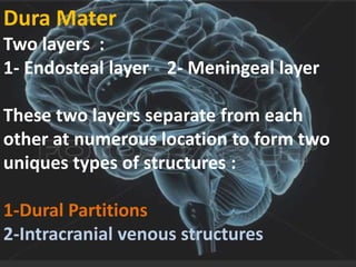 Anatomical Radiological Integrated Course: PART I: Subarachnoid ...