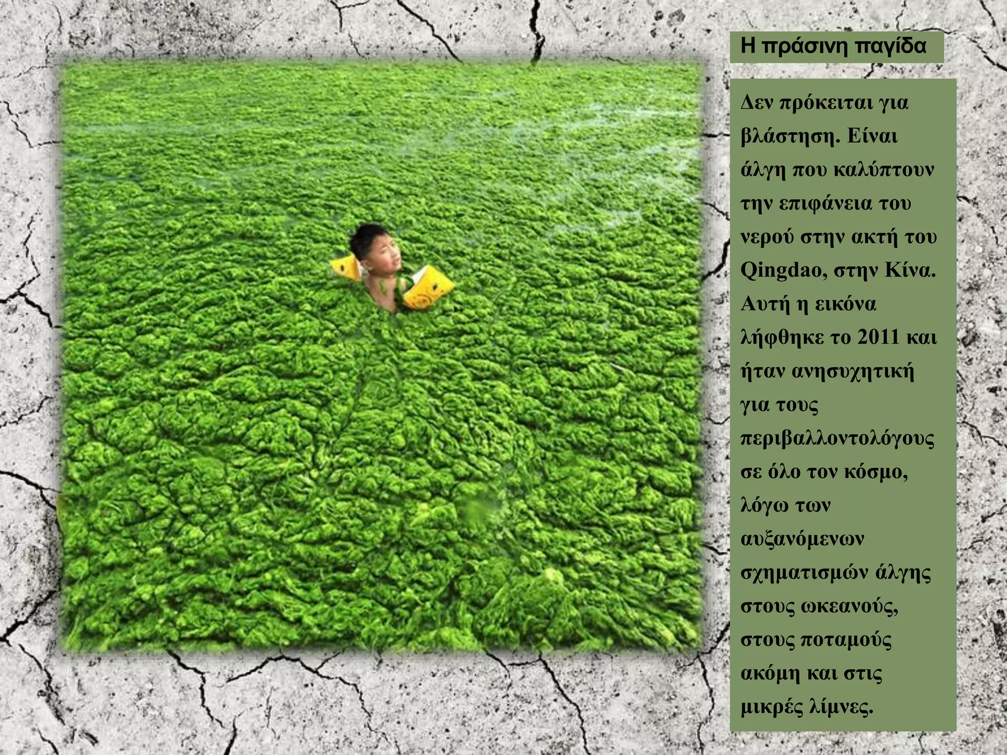 Προστασία του περιβάλλοντος | PPTX