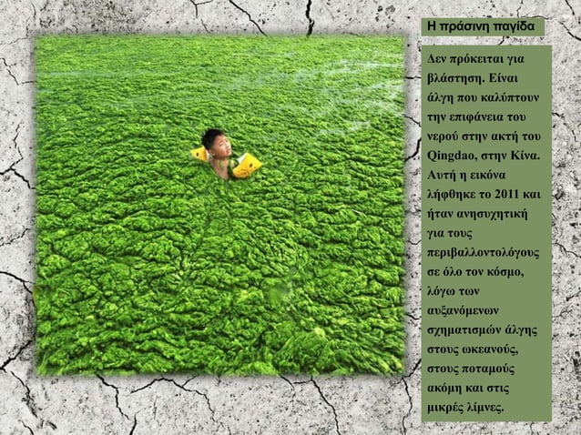 Προστασία του περιβάλλοντος | PPT