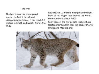 Endangered Species in Greece | PPTX