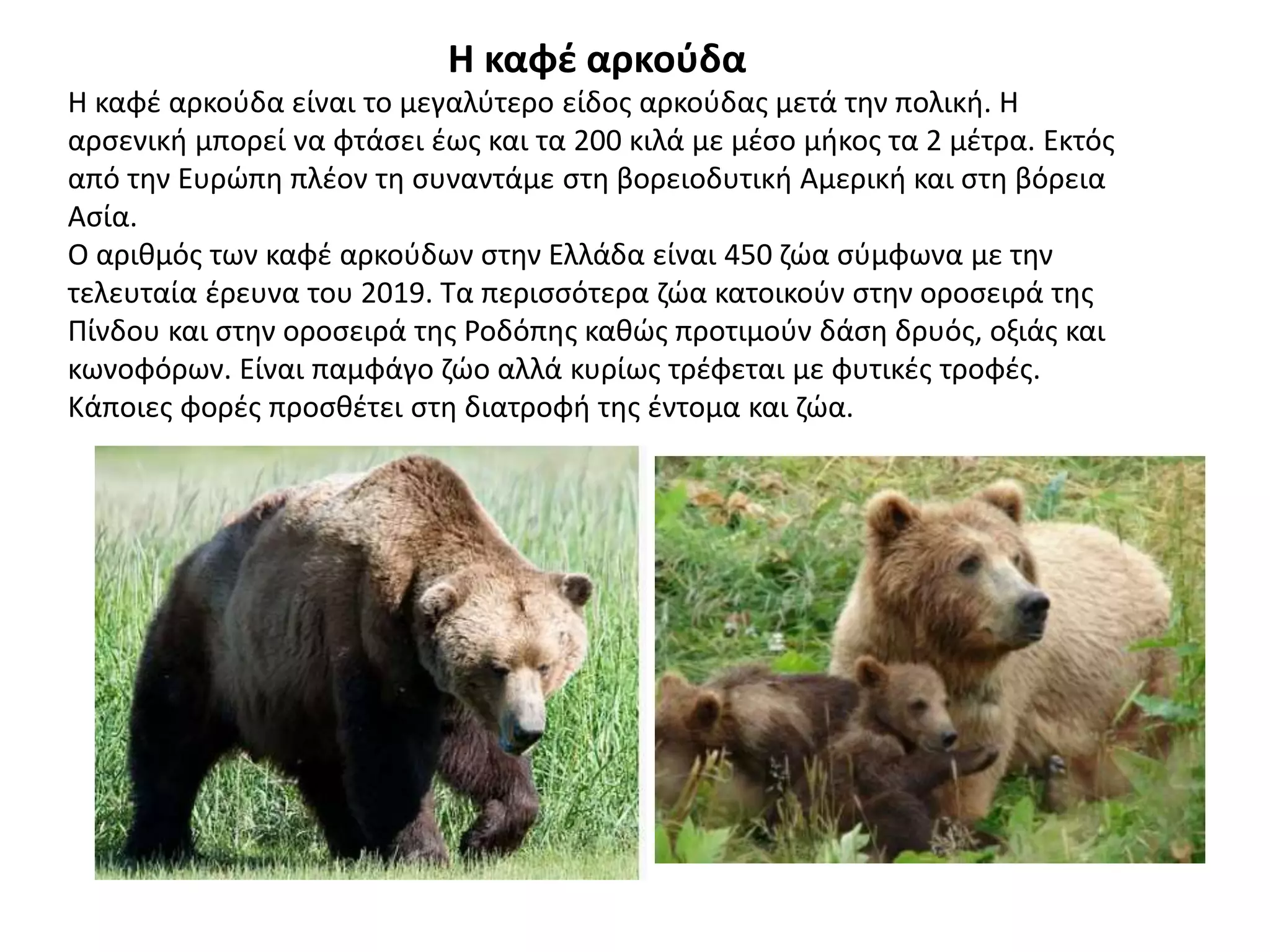 Απειλούμενα είδη ζώων στην Ελλάδα | PPTX