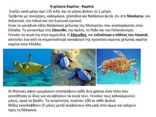 Απειλούμενα είδη ζώων στην Ελλάδα | PPTX
