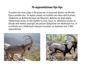 Απειλούμενα είδη ζώων στην Ελλάδα | PPTX