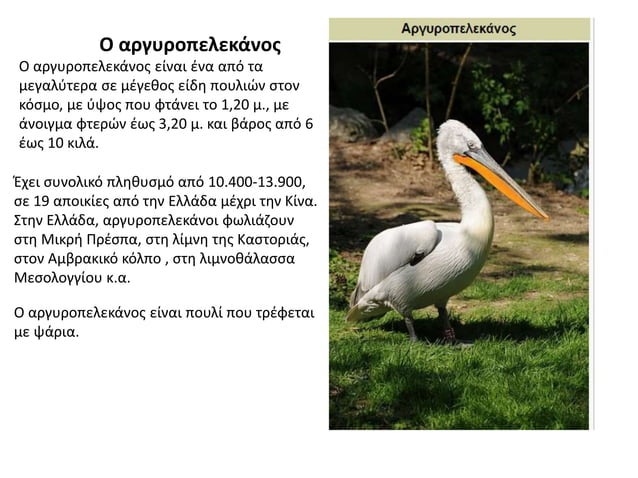 Απειλούμενα είδη ζώων στην Ελλάδα | PPT