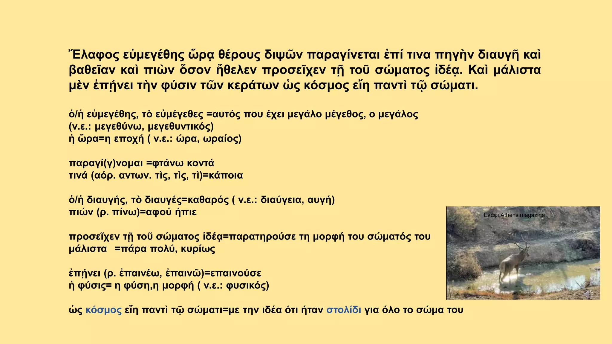 Η ΟΜΟΡΦΙΑ ΔΕΝ ΕΙΝΑΙ ΤΟ ΠΑΝ,ΑΡΧΑΙΑ Α΄ΓΥΜΝΑΣΙΟΥ ,ΕΝΟΤΗΤΑ 6 | PPTX