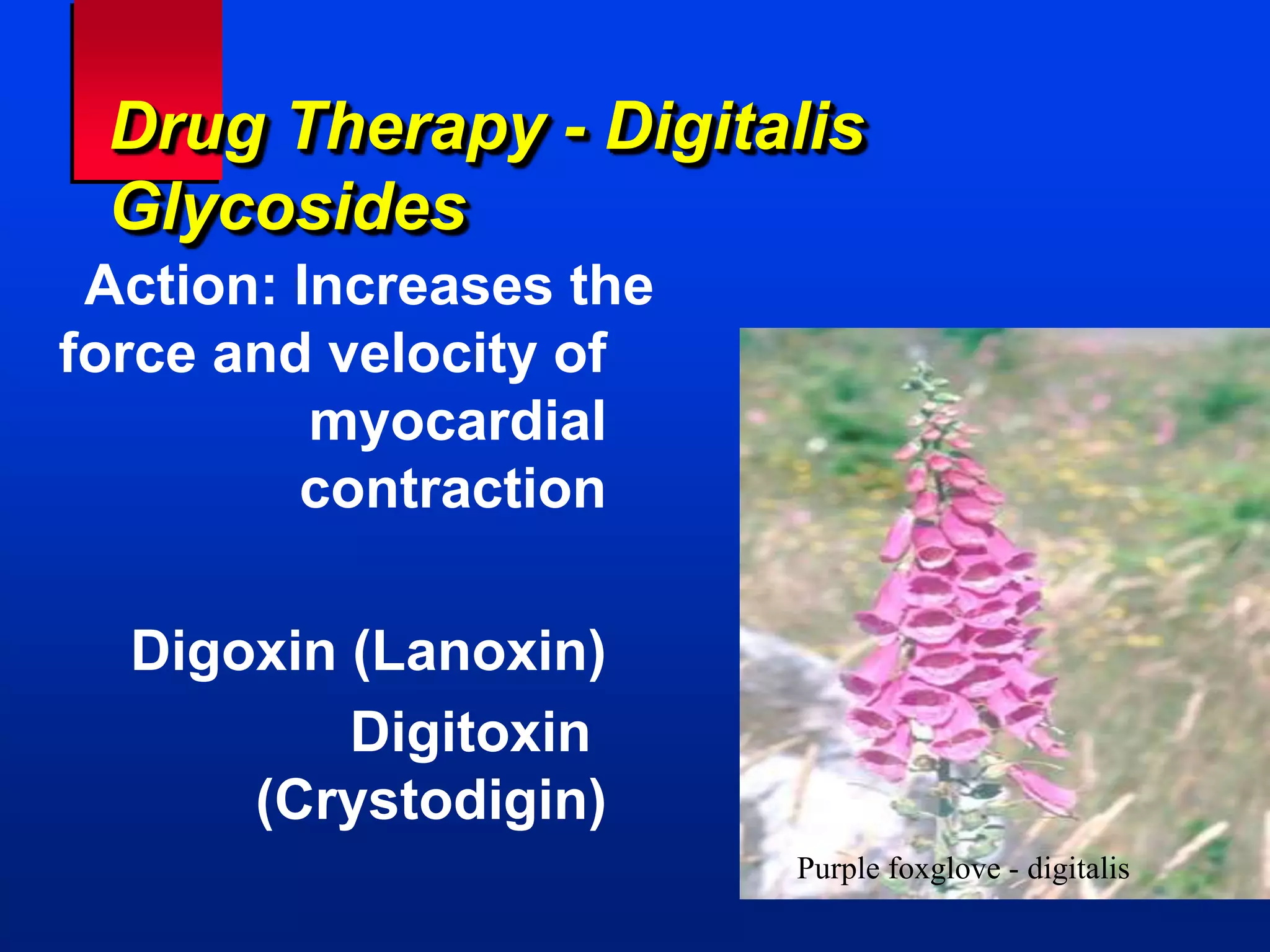 Cardiovascular | PPT