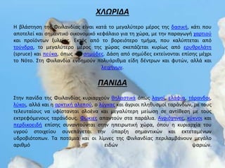 ΦΙΛΑΝΔΙΑ: ΜΙΑ ΕΡΓΑΣΙΑ ΤΟΥ ΜΑΘΗΤΗ ΤΟΥ ΤΜΗΜΑΤΟΣ Β3 ΤΟΥ 4ου ΓΥΜΝΑΣΙΟΥ ...