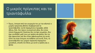 Ο ΜΙΚΡΟΣ ΠΡΙΓΚΙΠΑΣ ΚΑΙ Η ΑΛΕΠΟΥ.pptx