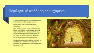 Ο ΜΙΚΡΟΣ ΠΡΙΓΚΙΠΑΣ ΚΑΙ Η ΑΛΕΠΟΥ.pptx