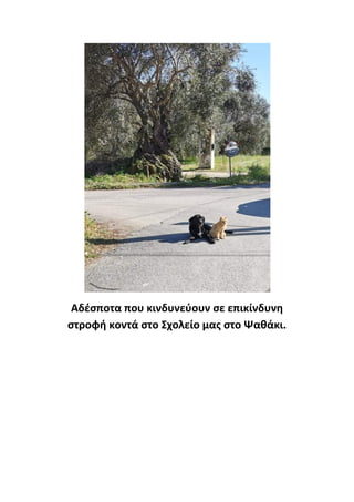Η ΠΟΛΗ ΠΟΥ ΔΕΝ ΘΕΛΩ.pdf