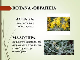 ΒΟΤΑΝΑ ΚΑΙ ΑΡΩΜΑΤΙΚΑ ΦΥΤΑ ΤΑ ΙΑΤΡΙΚΑ ΤΗΣ ΦΥΣΗΣ.pptx
