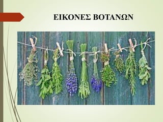 ΒΟΤΑΝΑ ΚΑΙ ΑΡΩΜΑΤΙΚΑ ΦΥΤΑ ΤΑ ΙΑΤΡΙΚΑ ΤΗΣ ΦΥΣΗΣ.pptx