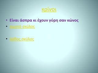 ΕΡΩΤΗΣΕΙΣ ΜΕ ΣΩΣΤΟ ΛΑΘΟΣ.pptx