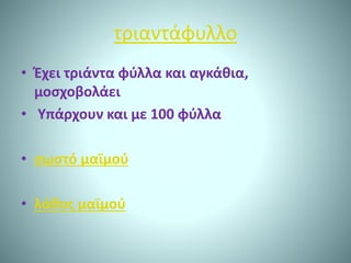 ΕΡΩΤΗΣΕΙΣ ΜΕ ΣΩΣΤΟ ΛΑΘΟΣ.pptx