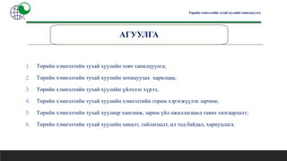 ТӨРИЙН ХЭМНЭЛТИЙН ТУХАЙ ХУУЛИЙН ТАНИЛЦУУЛГА | PPTX