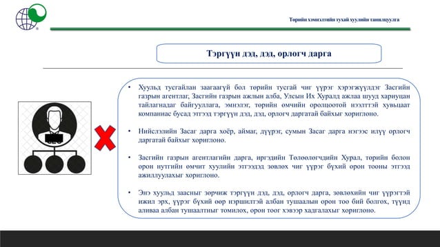 ТӨРИЙН ХЭМНЭЛТИЙН ТУХАЙ ХУУЛИЙН ТАНИЛЦУУЛГА Pptx