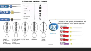 Endodontics Instruments | PPT