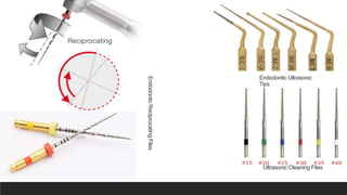 Endodontics Instruments | PPT