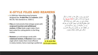 Endodontics Instruments | PPT