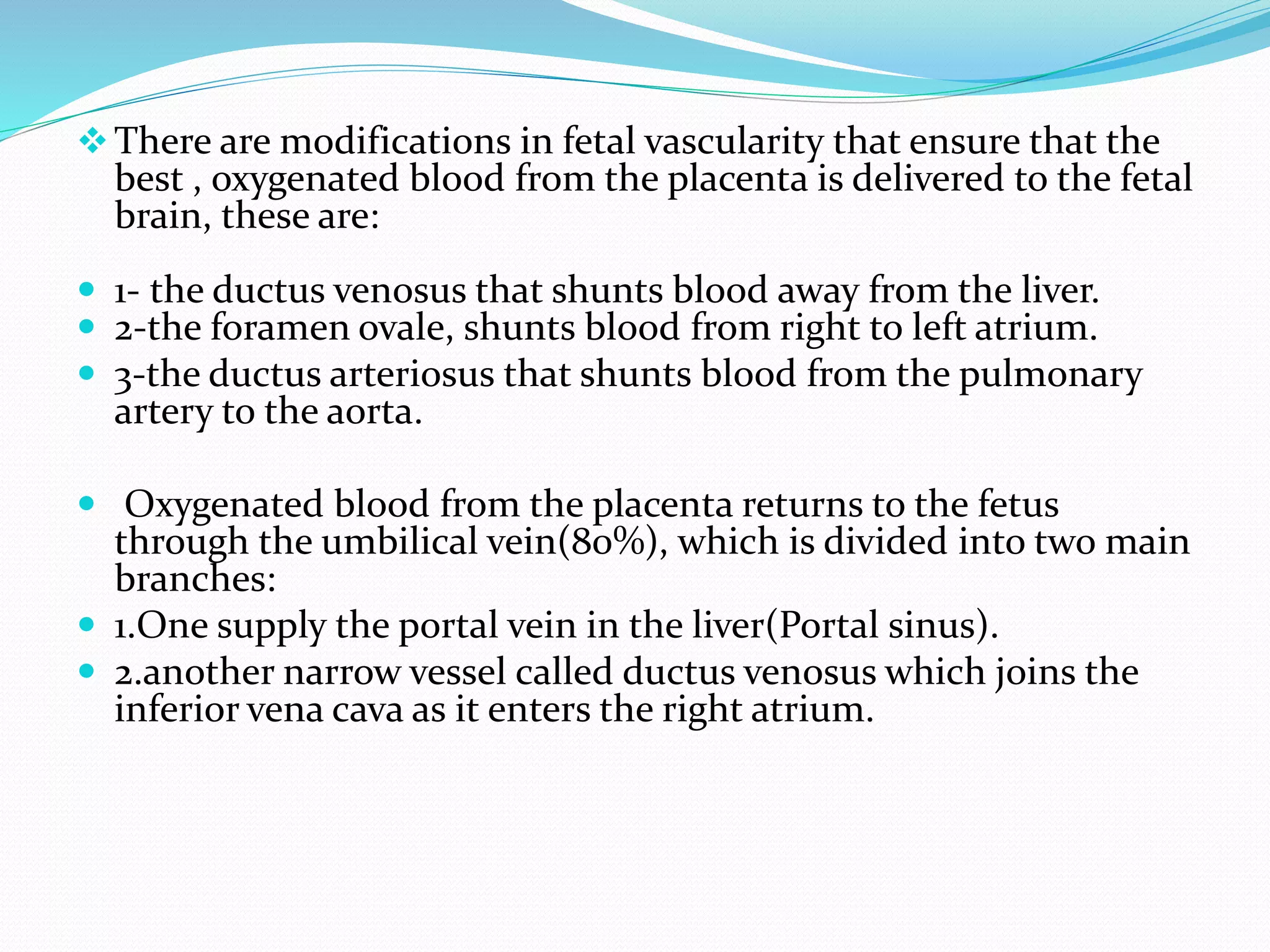 د.وداد The fetal circulation-1 (Muhadharaty).pptx