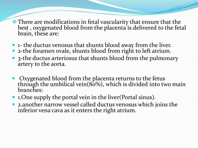 د.وداد The fetal circulation-1 (Muhadharaty).pptx | Pregnancy ...